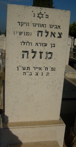 JewishGen Online Worldwide Burial Registry - Israel Burial Record