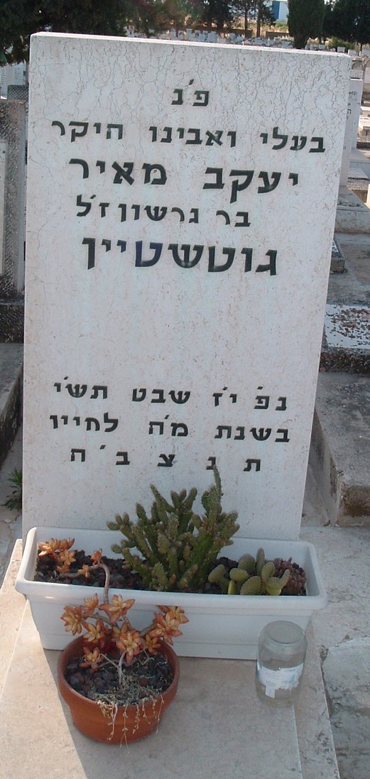 JewishGen Online Worldwide Burial Registry - Israel Burial Record