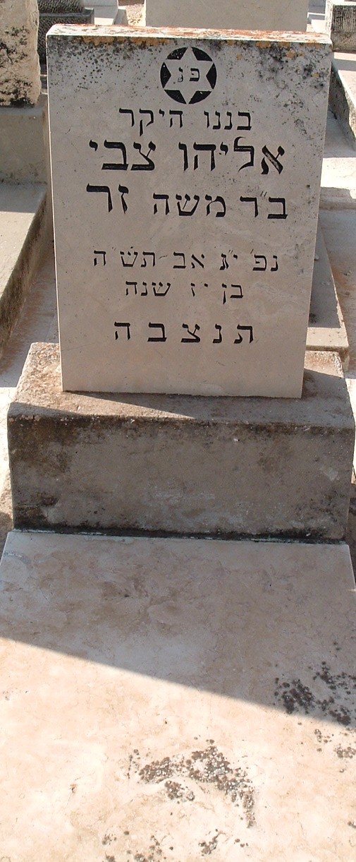 JewishGen Online Worldwide Burial Registry - Israel Burial Record