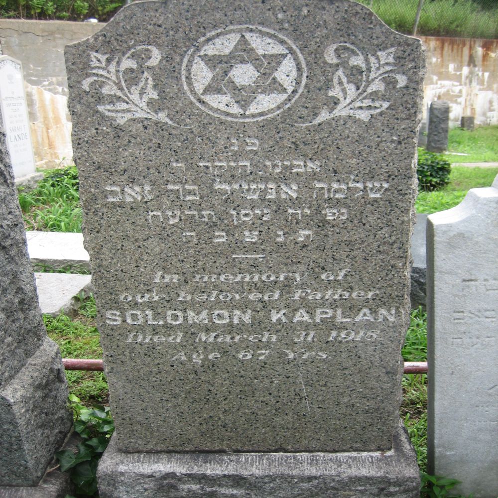 JewishGen Online Worldwide Burial Registry - USA - New York Burial Record