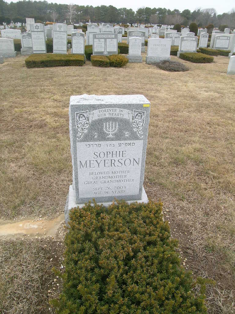 JewishGen Online Worldwide Burial Registry - USA - New York Burial Record